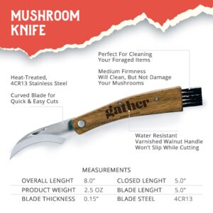 Gather Americana Mushroom Foraging Knife - 3 Inches High Carbon Steel Blade - Boar-Bristle Brush and Walnut Handle