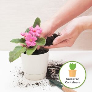 Perfect Plants African Violet Potting Soil 2qt. | Perfectly Crafted Organic Plant Mix for Potted Violets | Ready and Easy to Use Flowering Plant Substrate