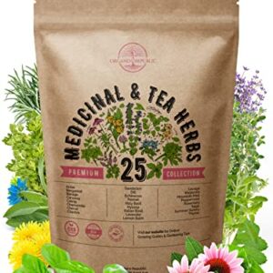 Organo Republic 25 Medicinal & Tea Herb Seeds Variety Pack for Indoor & Outdoors. 5800+ Non-GMO Heirloom Garden Seeds: Anise, Borage, Cilantro, Chamomile, Dandelion, Rosemary, Peppermint Seeds