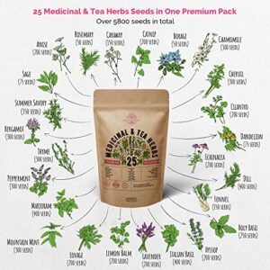 Organo Republic 25 Medicinal & Tea Herb Seeds Variety Pack for Indoor & Outdoors. 5800+ Non-GMO Heirloom Garden Seeds: Anise, Borage, Cilantro, Chamomile, Dandelion, Rosemary, Peppermint Seeds