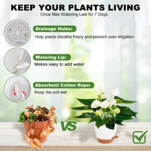 Vanslogreen Plant Pots for Indoor Plants 5 Pack Self Watering Planters, 7/6.5/6/5.5/5 Inch Self Watering Pots with Drainage Hole Plastic Flower Pot for Herbs, Succulents, African Violet (White)