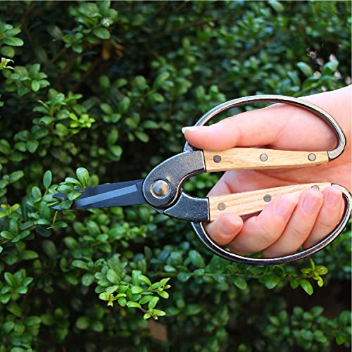 N&V Bonsai Scissors Set, 3 Pcs Set Including Bonsai Scissors, Mini Rake and Mini Shovel, For Arranging Flowers, Trimming Plants, For Grow Room or Gardening, Bonsai Tools.