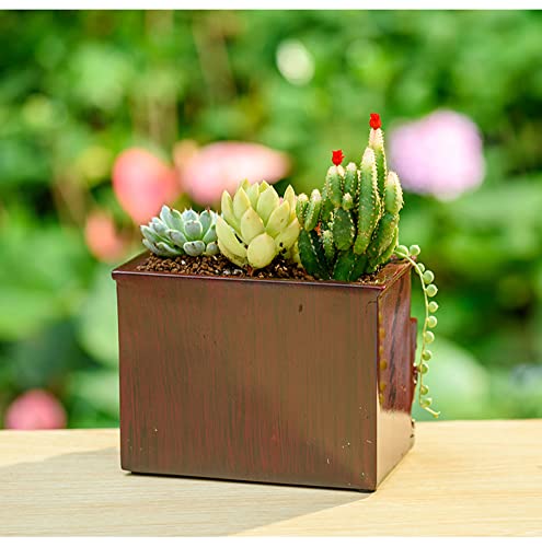 JIATAY Wooden Pots, Mini Flowerpot, Retro Resin Succulent Planter Bonsai Pot Desk Holder Mini Ornament (Piano Brown)