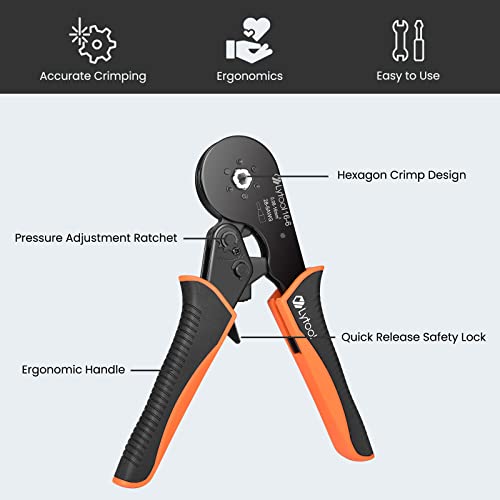 Ferrule Crimping Tool Kit, Lytool Wire Crimper Pliers (AWG28-5/0.08-16mm²), Wire Ferrule Kit with Hexagonal Ferrule Crimper and 1000PCS Ferrule Connectors Wire Ferrules Terminals Kit