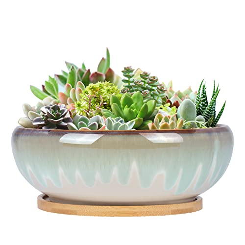 SQOWL 7 Inch Ceramic Succulent Planter Pot with Drainage Hole Drip Glazed Binsai Pot with Bamboo Tray for Indoor Plants