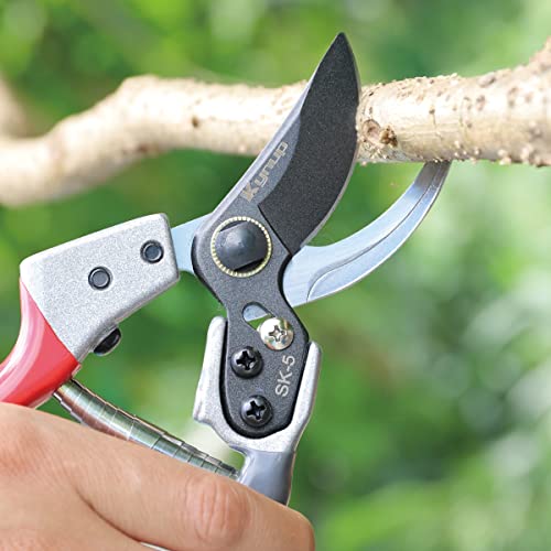 Kynup Garden Shears, Bypass Pruning Shears for Gardening, Tree Trimmers Secateurs, Hand Pruner, Gardening Shears, Clippers For The Garden, Bonsai Cutters, Loppers (Black)