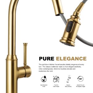 Brushed Gold Kitchen Faucet with Pull Down Sprayer, Lava Odoro Single Handle Gold Kitchen Sink Faucet, Brushed Brass Faucet for Kitchen Sink 1 Hole and 3 Hole, Deck Plate Included, KF421-SG