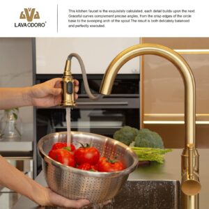 Brushed Gold Kitchen Faucet with Pull Down Sprayer, Lava Odoro Single Handle Gold Kitchen Sink Faucet, Brushed Brass Faucet for Kitchen Sink 1 Hole and 3 Hole, Deck Plate Included, KF421-SG