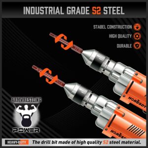 Allen Wrench Drill Bits, HORUSDY 20-Piece S2 Steel Hex Bit Set, Metric & SAE Magnetic Hex Bit Set, 2.3" Long with Bit Holder