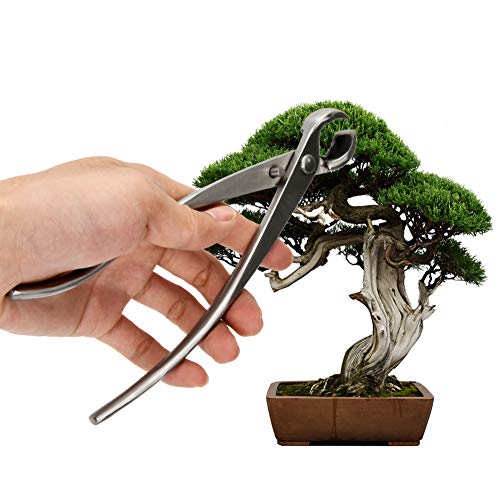 Professional Grade Bonsai Tools Knob Cutter Concave Cutter Gardening Tools,Stainless Steel Knob Cutter, Round Edge Concave Branch Cutter, 210Mm, Stainless Steel Knob Cutter, Professional Grade B