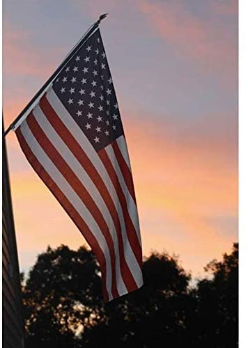 Linyup American Flag, American Flags for Outside, 210D Oxford Nylon, American Flags for Outside 3x5,Brass Grommet for Easy Display,Embroidered Stars,The Strongest, Longest Lasting.