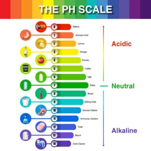 pH Test Strips, 480 Strips Full Range 1-14 Universal pH Test Litmus Paper pH Soap Making Testing Strips for Water Wine Saliva Urine Soil, 6 Pack pH Strips and 6 Test Pipette Droppers with Storage Case