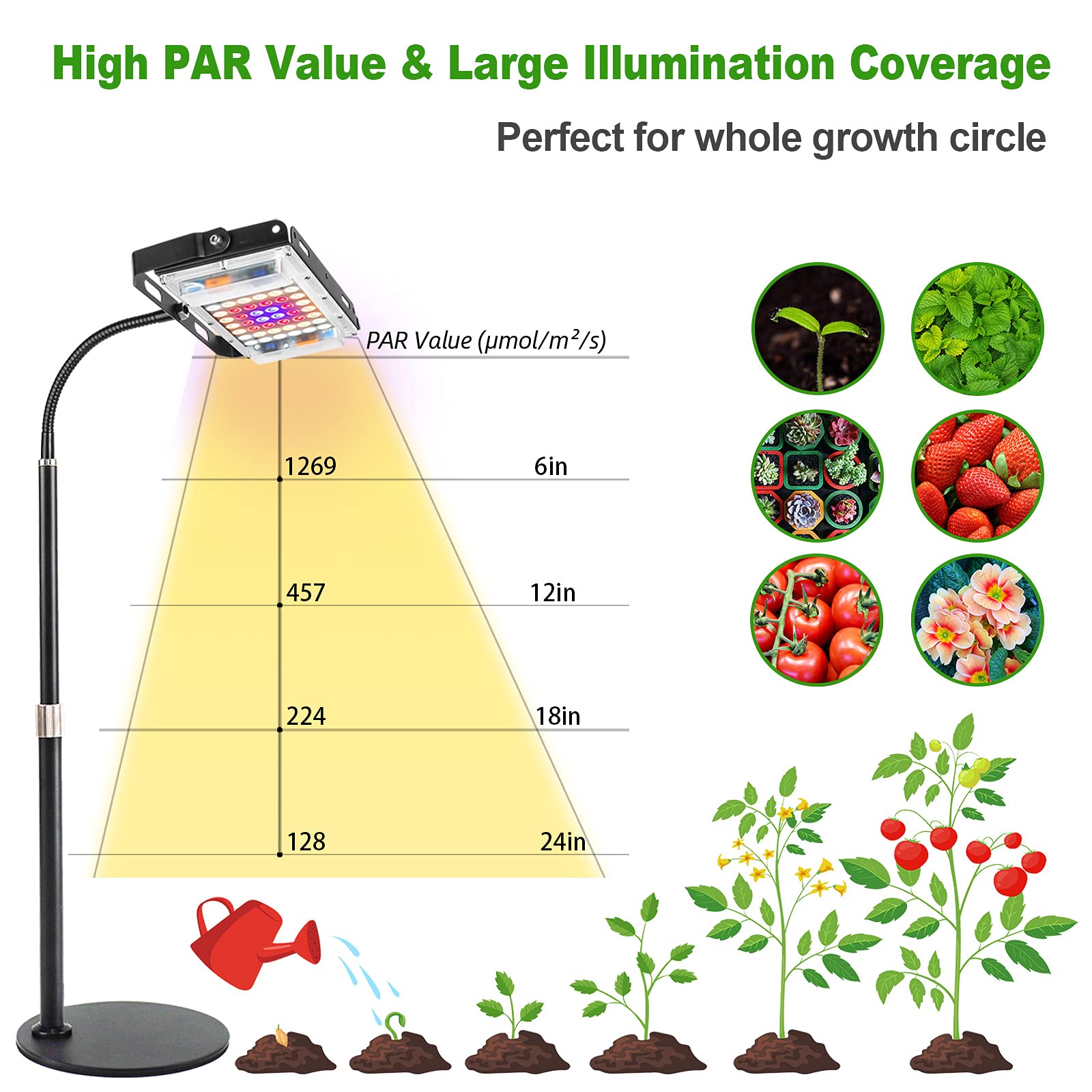 LBW Grow Light for Indoor Plants, Full Spectrum Desk LED Plant Light, Small Grow Lamp with 4H/8H/12H Timer, 6-Level Brightness, Height Adjustable, Flexible Gooseneck, Ideal for Indoor Growth