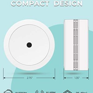 Ecoey Small Smoke Detector Alarm, 10 Year Fire Alarms Smoke Detectors with Built-in 3V Battery, Smoke Alarm with Big Test Button and Silence Function for House, FJ135, 2PACK