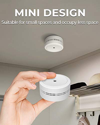 Ecoey Small Smoke Detector Alarm, 10 Year Fire Alarms Smoke Detectors with Built-in 3V Battery, Smoke Alarm with Big Test Button and Silence Function for House, FJ135, 2PACK