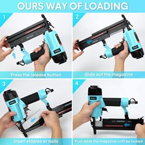 SHALL 18 Gauge Pneumatic Brad Nailer, 2 in 1, 18 GA Air Nail Gun and Crown Stapler, 800 Counts Brad Nails (1", 2") and Narrow Crown Staples (1", 1-1/2") Included, for DIY Project, Upholstery