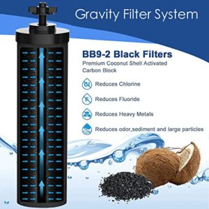 BB9-2 Water filter, Black Purification Elements Water Purifier Replacement Filters Compatible with Gravity Filter System, Doulton Super Sterasyl and Propur Traveler, King, Big Series, 4 Pack