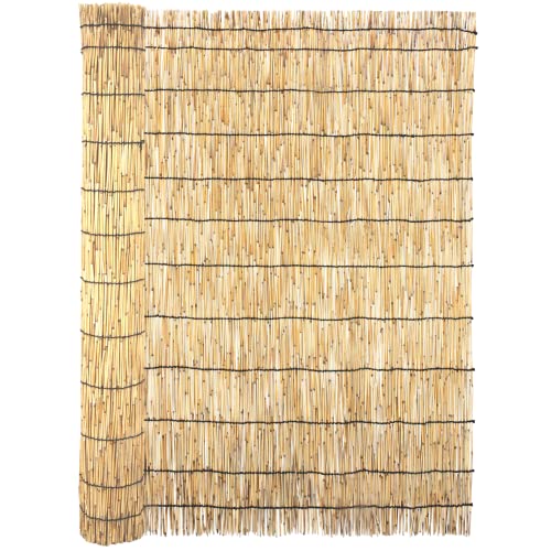 Sukkot Hadar- Kosher Reed Schach-Natural Reed Sukkha Mat, Highly Dense Whole Reed Peeled– Easy Assembly – 6x8-Feet