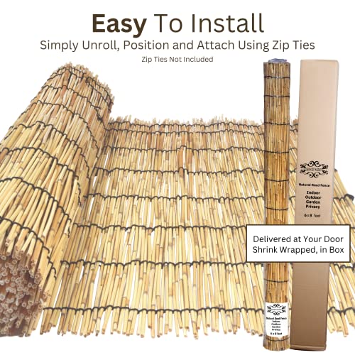 Sukkot Hadar- Kosher Reed Schach-Natural Reed Sukkha Mat, Highly Dense Whole Reed Peeled– Easy Assembly – 6x8-Feet