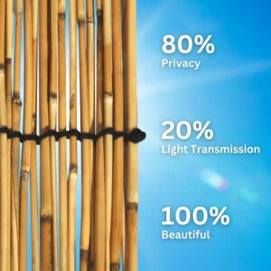 Sukkot Hadar- Kosher Reed Schach-Natural Reed Sukkha Mat, Highly Dense Whole Reed Peeled– Easy Assembly – 6x8-Feet