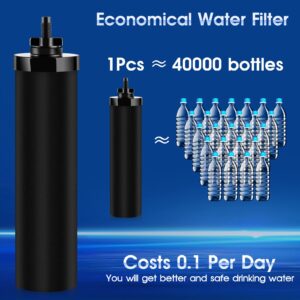 Venusfilter BB9-2 Water Filter Replacement for Berkey Water Filter, Compatible with Purifiers Gravity Filter System,Propur Traveler,King, Big Series and Doulton Super Sterasyl(Black-2 Pack)