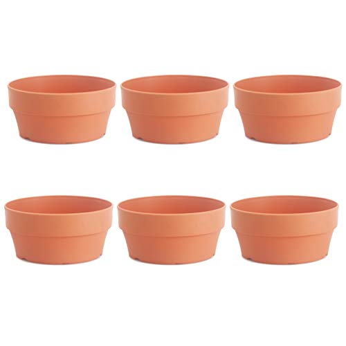 Operitacx Shallow Flower Pot 6pcs Plastic Pots for Plants Imitation Terracotta Plant Pot 12.5cm Cactus Flower Pots Succulent Planter for DIY Flower Basin