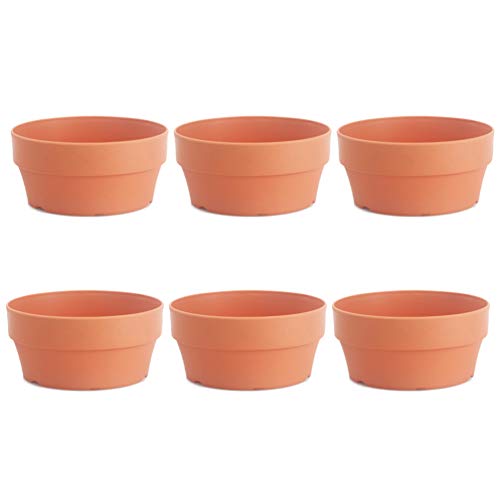 Operitacx Shallow Flower Pot 6pcs Plastic Pots for Plants Imitation Terracotta Plant Pot 12.5cm Cactus Flower Pots Succulent Planter for DIY Flower Basin