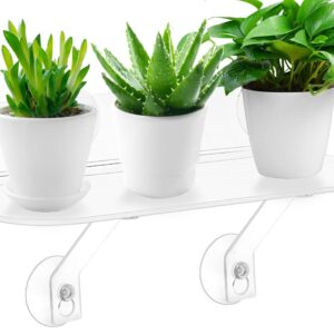 15 Inch Suction Cup Shelf for Plants Window, 6IN Extra Wide with Load-Bearing Brackets Window Shelf for Plants, Acrylic Window Sill Extender for Growing Herbs, Micro Vegetables, Succulents, Clear