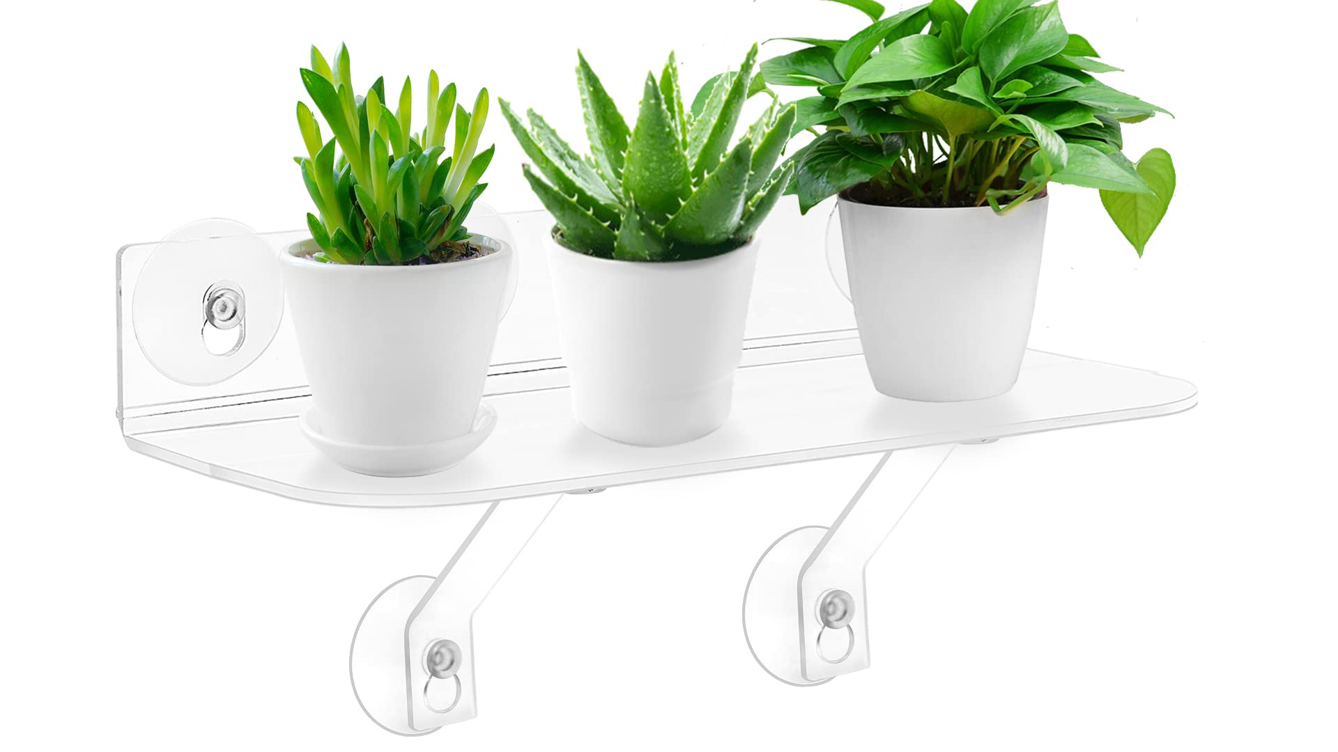 15 Inch Suction Cup Shelf for Plants Window, 6IN Extra Wide with Load-Bearing Brackets Window Shelf for Plants, Acrylic Window Sill Extender for Growing Herbs, Micro Vegetables, Succulents, Clear