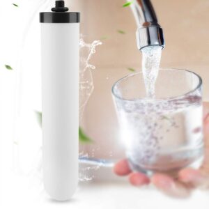 Water Filter Element,Replacement Filter, Ceramic Water Filter Element, Reduces Heavy Metals, Bad Taste For Countertop Gravity Water Filtration Systems