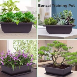 Bonsai Pot 6.5 Inches, 6 Packs Rectangle Bonzai Training Pots with Drainage Trays, Plastic Flower Pot Humidity Trays, Square Potted Planter Pot for Living Room, Office, Yard, Garden, Indoor, Balcony