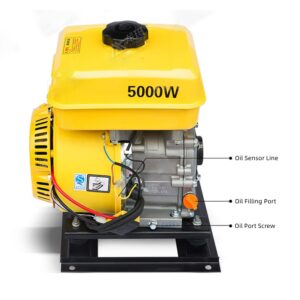 Jieotwice 5KW Electric Vehicle Gasoline Generator Range Extender Electric Start Automatic Frequency Conversion Electric Tricycle Generator (60V, Integrated Tank)