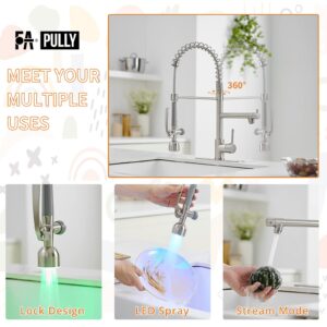 Fapully LED Kitchen Sink Faucet,Kitchen Faucet with Pull Down Sprayer Include Hole Cover Brushed Nickel