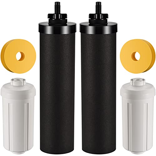 Water Filter Replacement for Berkey- Black Filters and Fluoride Filters Combo Pack Compatible with Berkey Water Filters Replacement- Pack of 4