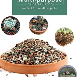 Succulent and Cactus Soil Gritty Mix Rocks, 6lb Bonsai Volcanic Gravel, Indoor Plant Drainage Lava Stones, Small Decorative Potting Pebbles for Terrarium Fairy Gardening and Houseplants Top Dressing