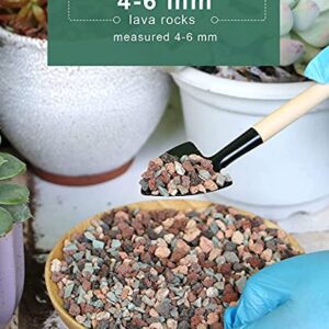 Succulent and Cactus Soil Gritty Mix Rocks, 6lb Bonsai Volcanic Gravel, Indoor Plant Drainage Lava Stones, Small Decorative Potting Pebbles for Terrarium Fairy Gardening and Houseplants Top Dressing