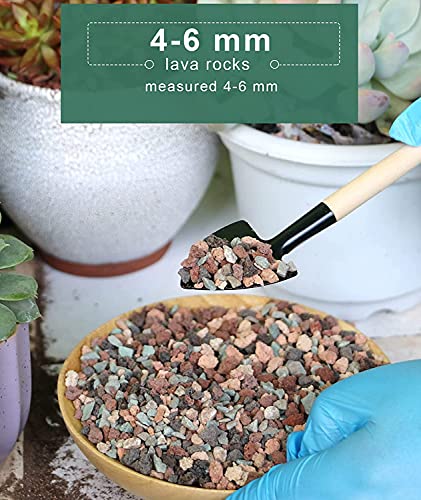 Succulent and Cactus Soil Gritty Mix Rocks, 6lb Bonsai Volcanic Gravel, Indoor Plant Drainage Lava Stones, Small Decorative Potting Pebbles for Terrarium Fairy Gardening and Houseplants Top Dressing