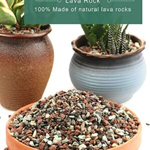 Succulent and Cactus Soil Gritty Mix Rocks, 6lb Bonsai Volcanic Gravel, Indoor Plant Drainage Lava Stones, Small Decorative Potting Pebbles for Terrarium Fairy Gardening and Houseplants Top Dressing