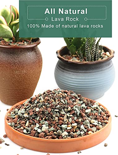 Succulent and Cactus Soil Gritty Mix Rocks, 6lb Bonsai Volcanic Gravel, Indoor Plant Drainage Lava Stones, Small Decorative Potting Pebbles for Terrarium Fairy Gardening and Houseplants Top Dressing