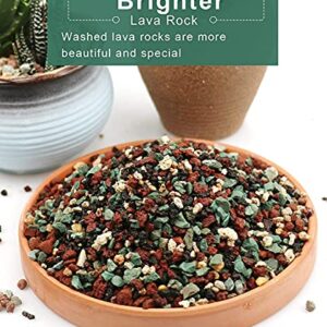 Succulent and Cactus Soil Gritty Mix Rocks, 6lb Bonsai Volcanic Gravel, Indoor Plant Drainage Lava Stones, Small Decorative Potting Pebbles for Terrarium Fairy Gardening and Houseplants Top Dressing