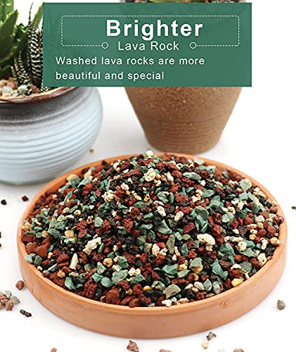 Succulent and Cactus Soil Gritty Mix Rocks, 6lb Bonsai Volcanic Gravel, Indoor Plant Drainage Lava Stones, Small Decorative Potting Pebbles for Terrarium Fairy Gardening and Houseplants Top Dressing