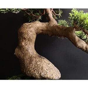 Artificial Bonsai Tree Bonsai Tree Faux Pine Tree Bonsai Juniper Tree Bonsai Artificial Bonsai Tree Indoor Decoration House Plant with Ceramic Pot for Decoration, Desktop Display, Zen Garden Décor