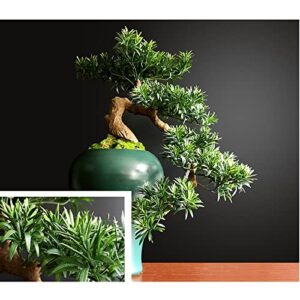 Artificial Bonsai Tree Bonsai Tree Faux Pine Tree Bonsai Juniper Tree Bonsai Artificial Bonsai Tree Indoor Decoration House Plant with Ceramic Pot for Decoration, Desktop Display, Zen Garden Décor