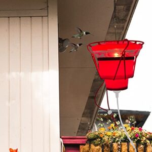 Hummingbird Feeder Heater, Heated Feeders for Outdoors,Bird Heater Attaches to Bottom Feed Hummingbirds in Freezing Weather Winter Outdoor Garden(Feeder NOT Included) Red