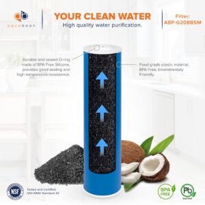 AQUABOON 5 Micron 20" x 4.5" GAC, CTO Carbon Block & Sediment Replacement Water Filter Cartridges Set | 1 set, 3 Filters in a Set | EP20-BB, 2C-20BB, 155358-43, DGD-5005-20