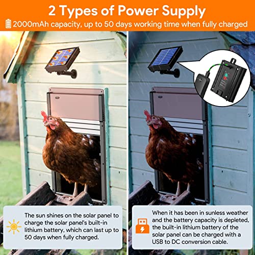 Automatic Chicken Coop Door Solar Powered - Full Aluminum Auto Chicken Coop Door Opener with Timer, Light Sensor and Remote Control