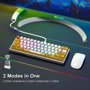 HITIME XVX M61 60% Mechanical Keyboard with Keyboard Travel Case,Wired/2.4G Wireless Gaming Keyboard with Coiled Cable,Hot Swappable Custom Computer Keyboard for Desktop PC/Laptop Mac