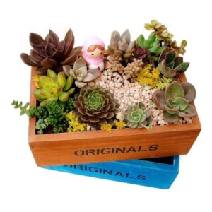 Wood Succulent Planter, Vintage Gardening Pots Bonsai Pot Plant Container Box Rectangular Flower Bed Pot Pack Window Box Planters for Balcony Garden