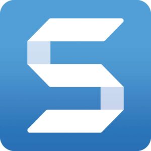 snagit 2023 - screen capture & image editor [pc/mac online code]