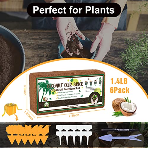 200 Pack 30mm Peat Pellets Seed Starter Pods, Seed Starter Soil Peat Pellets for Seedlings, Seeds Starting Peat Pellet for Planting Starter Pods Seeding Soil Peat Soil